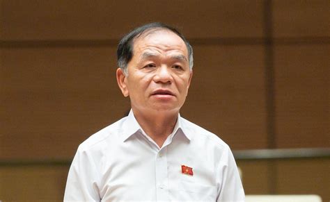 Tạm đình chỉ thực hiện nhiệm vụ ĐBQH Lê Thanh Vân