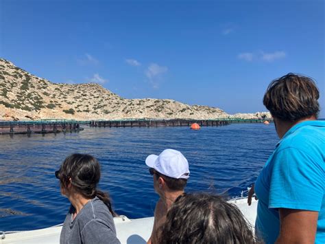 Aquaculture Tourism And Enhancing Public Understanding Of Fish Farming