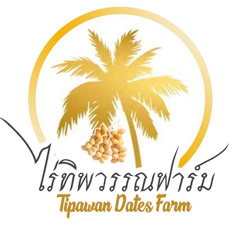 ไร่อินทผลัม ทิพวรรณฟาร์ม เชียงราย