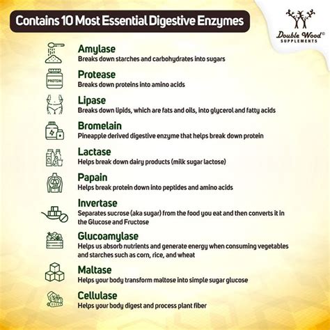 Digestive Enzymes 800mg Blend Of All 10 Most Essential Digestive And