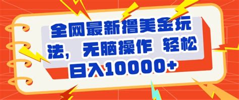 全网最新撸美金玩法，轻松无脑，暴力日入几张 全部课程 大象副业 网赚项目 创业副业