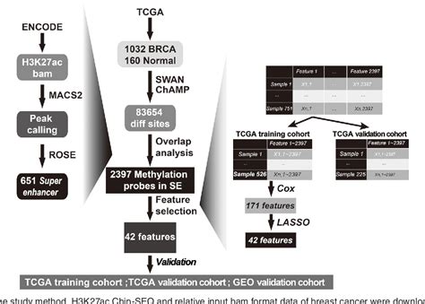 Figure From Somatic Super Enhancer Epigenetic Signature For Overall Survival Prediction In