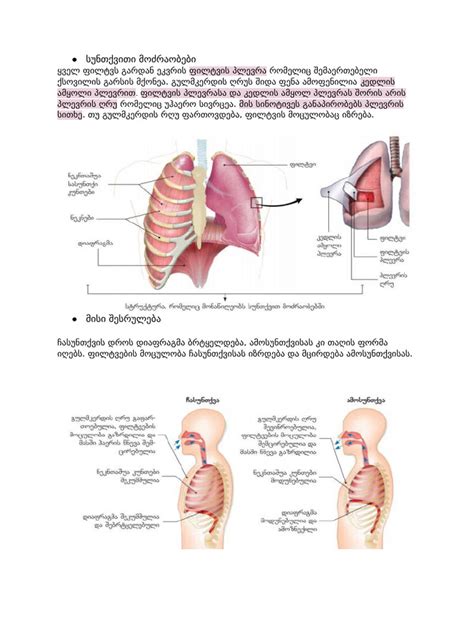 სუნთქვითი მოძრაობები Pdf