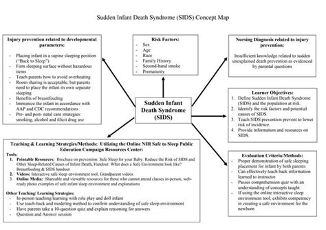 Sids Concept Map Sample Chart Nursing Classes Ppt