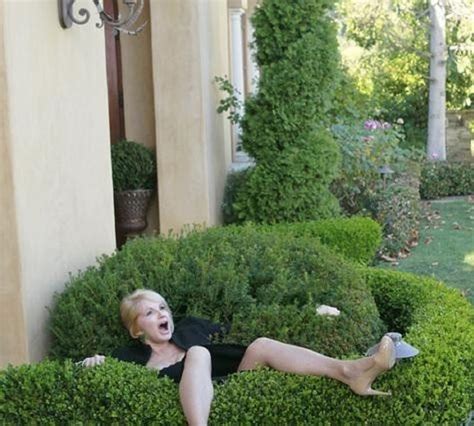 Ellen Barkin Picture