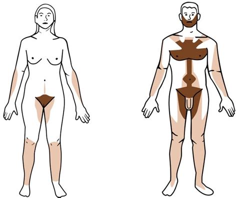 Men Vs Women Our Key Physical Differences Explained Live Science