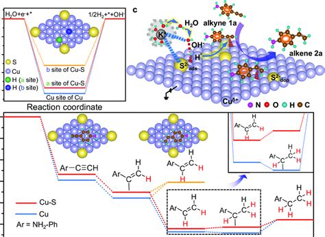 Theoretically Understanding The Activity And Selectivity Origin Of Cu S