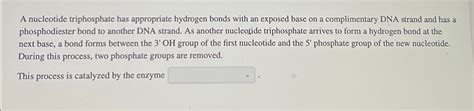 Solved A Nucleotide Triphosphate Has Appropriate Hydrogen