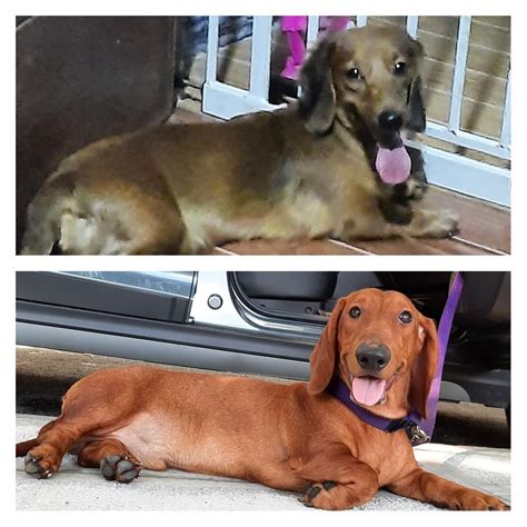 Tpc E Loading Business Added A Tpc E Loading Business