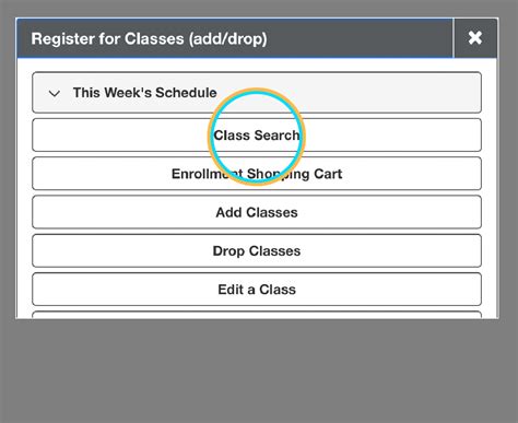 Search For Classes