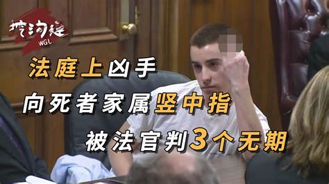 法庭上兇手向死者家屬豎中指，被法官判3個無期，死者兒子暴打兇手，法官表示同情，超解氣庭審合集 法庭 審判 案件 案件解說 真實事件