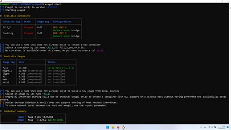 X11 Gui Tools Issue When Using Exegol On Wsl · Issue 95 · Theporgs