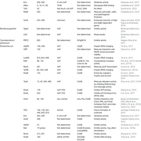 Schematic Overview Of Acetylation And Deacetylation A Enzymatic