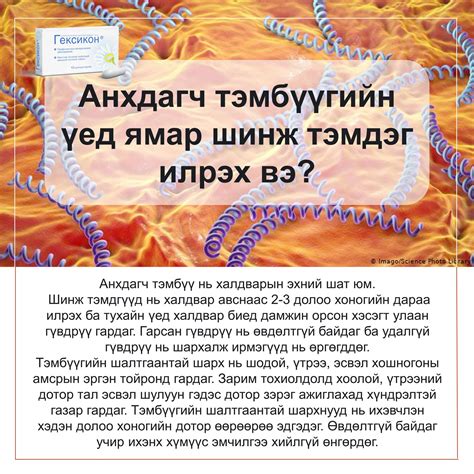 ‼️Тэмбүү гэдэг нь бэлгийн хавьталд Stada Cis Mongolia Facebook