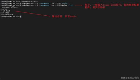 Kafka查看topic和消息内容命令kafka查看topic数据内容 Csdn博客