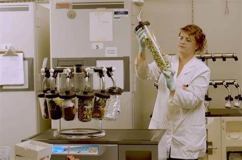 Tim Hassler On Linkedin Danone Delves Into Hidden Plant World In