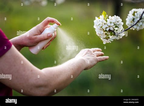 Insect Repellent Woman Applying Mosquito Repellant On Hand In Nature