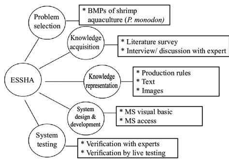 Hierarchial Classification Tree For Shrimp Disease Diagnosis In Essha Download Scientific Diagram