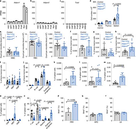Adiponectin Receptors Promote Hsc Quiescence Ac Rna Seq Analysis Of