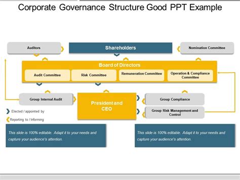 Governance Structure Example