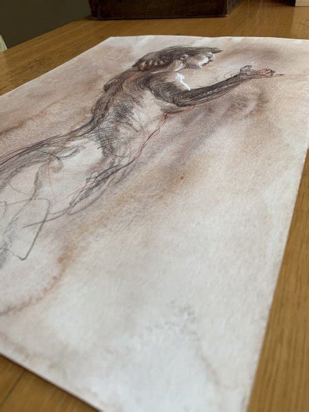 Enigmatic Enticement Drawing Samira Yanushkova