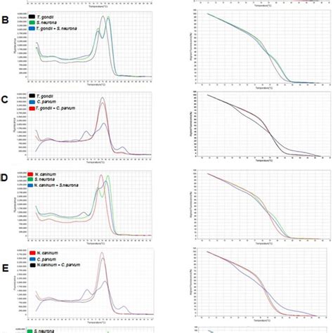 Derivative Melting Curve A Normalized Melting Curve B And