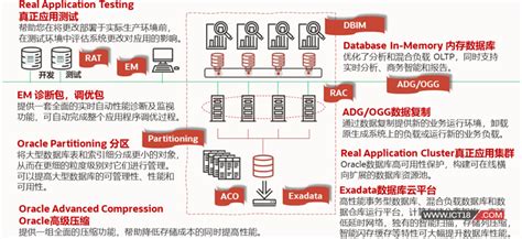Oracle数据库软件 北京九州云联科技有限公司