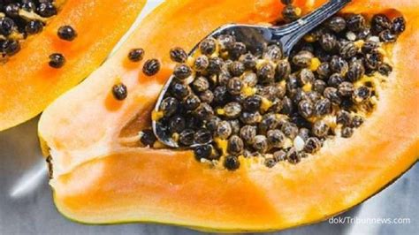 Jangan Dibuang Ini 7 Manfaat Biji Pepaya Bagi Kesehatan Yang Jarang