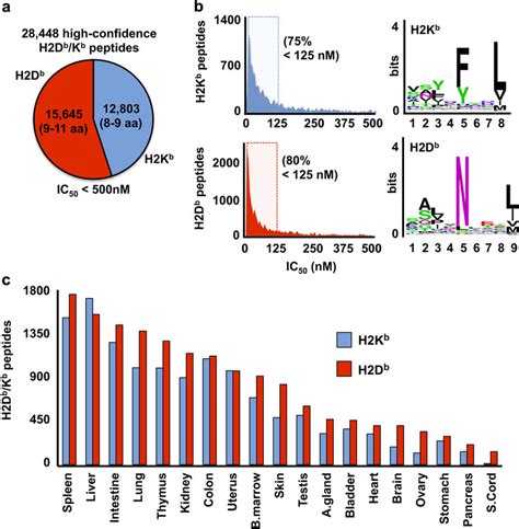 Identifications Of High Confidence H2dbkb Associated Peptides From 19