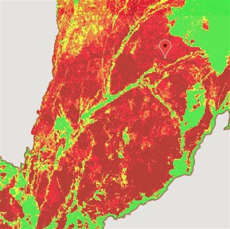 Burn Severity Modern Forager