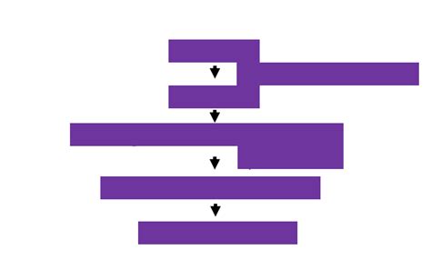 The Visual Pathway Diagram Quizlet