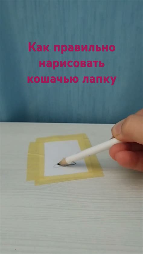как правильно нарисовать кошачью лапку кошки рисунок кошачьилапки
