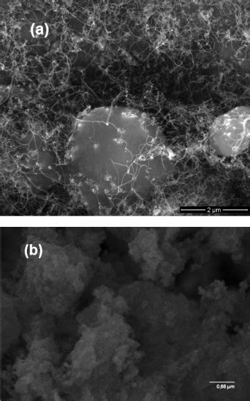 Sem Image Of Cnt Sample Prepared On A Coal 2 O 3 Catalyst And B Download Scientific