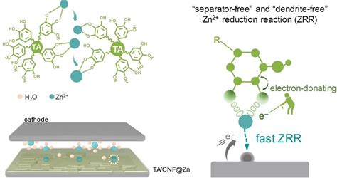 Electron‐donating Conjugation Effect Modulated Zn2 Reduction Reaction