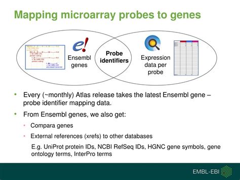 Ppt Arrayexpress And Gene Expression Atlas Powerpoint Presentation
