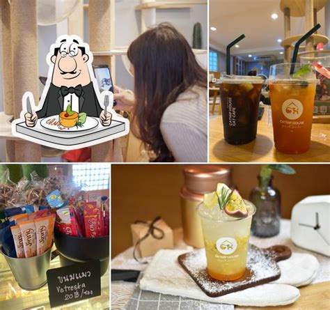 Catnip House Cafe Bangkok Restaurant Reviews Catnip House Cafe Bangkok Restaurant Reviews