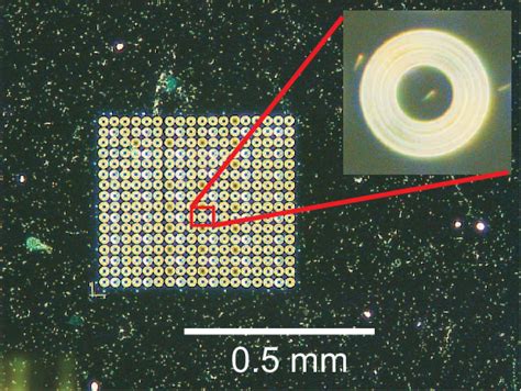 Figure 1 From Local And Anisotropic Excitation Of Surface Plasmon