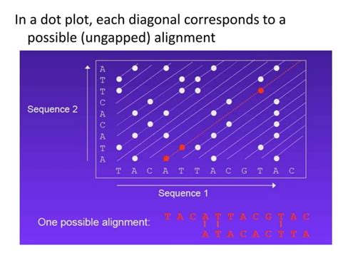 4 sequence alignment pptx genetics science