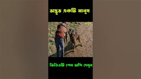 কুকুর এই মানুষটাকে দেখতে পারে না Shortvideo Banglamovieexplain