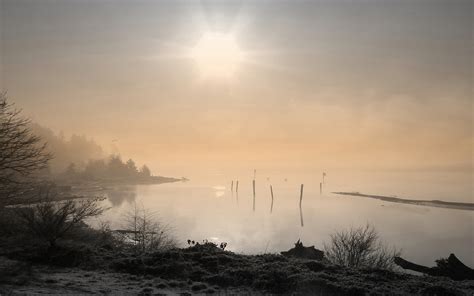 1024685 Sunlight Trees Landscape Sunset Sea Lake Nature Shore