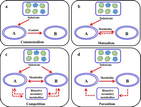 The Schematic Diagram For Interaction Modes Of Artificial Microbial