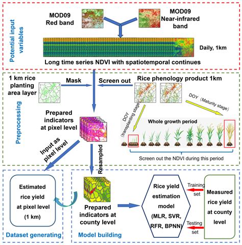 rice yield estimation using multi temporal remote sensing data and