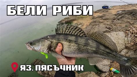 БЕЛИ РИБИ и КОСТУРИ от БРЕГА на ПЯСЪЧНИК ДЖИГ РИБОЛОВ Youtube