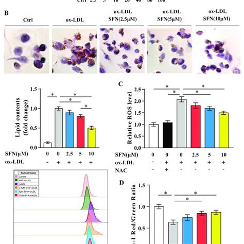 Inhibition Of Ox Ldl Induced Foam Cell Formation Ros Generation And