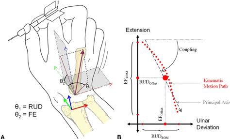 A Wrist Angle Representative Calculation Of Coupling Parameters B Download Scientific Diagram