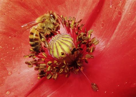 Mitchell Scott 4 Hill Country Photography Club