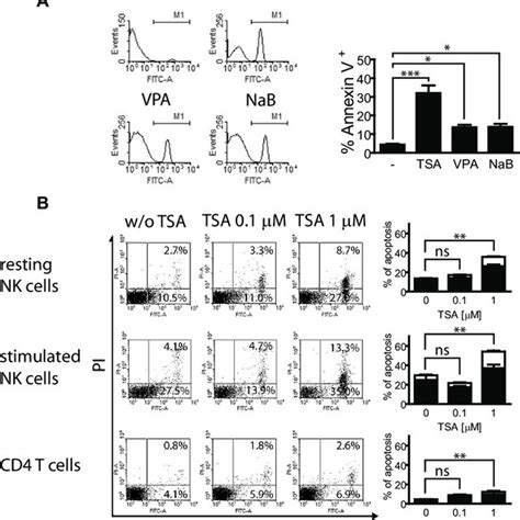 Hdaci Induce A Low Degree Of Apoptosis In Human Nk Cells A Nk Cells