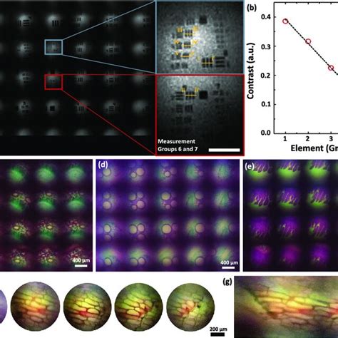 Microscopic Imaging Of Microlens Array Camera Mac In The Near Object