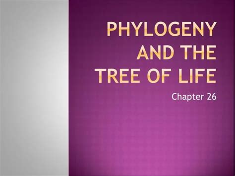 Ppt Phylogeny And The Tree Of Life Powerpoint Presentation Free