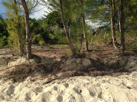 Oceans Coastal Margins Geography